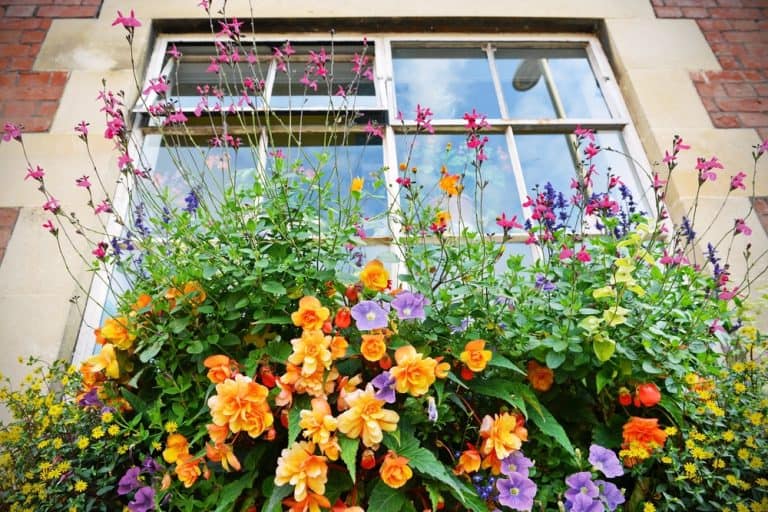 19 Window Box Ideas to Brighten Up Your Exterior - Trendey
