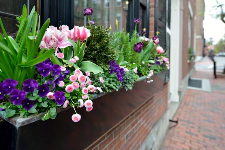 19 Window Box Ideas to Brighten Up Your Exterior - Trendey